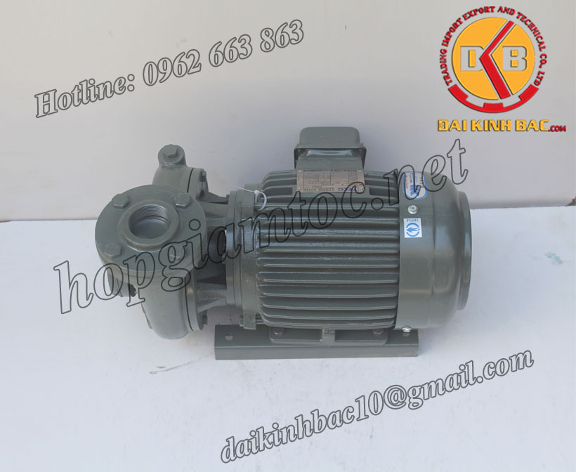 BƠM NƯỚC TECO G-32-50 2P 2HP 1.5KW