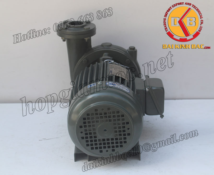 BƠM NƯỚC TECO G-325-80 2P 25HP 18.5KW