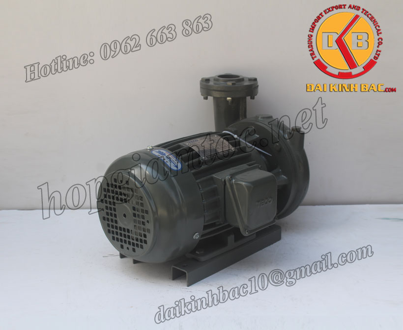 BƠM NƯỚC TECO G-33-50 2P 3HP 2.2KW