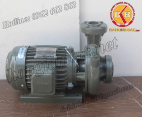 BƠM NƯỚC TECO ĐÀI LOAN