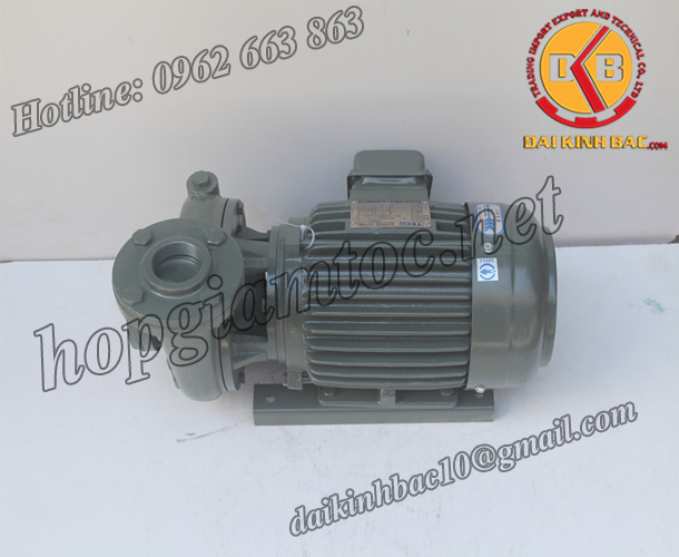 BƠM NƯỚC TECO G-32-50 2P 2HP 1.5KW